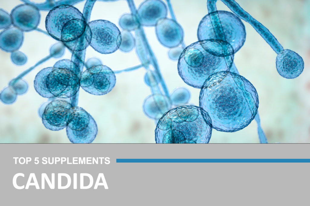 Top 5 Candida Supplements – Full Analysis, Reviews & Buying Guide (2023 ...