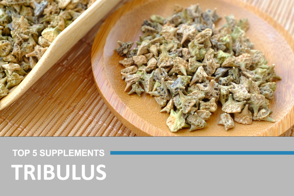 Top 5 Tribulus Supplements – Full Analysis, Reviews & Buying Guide ...